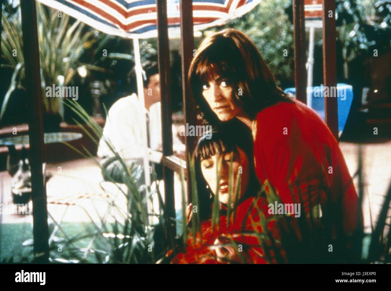 Mujeres al borde de un ataque de nervios Women on the Verge of a ...