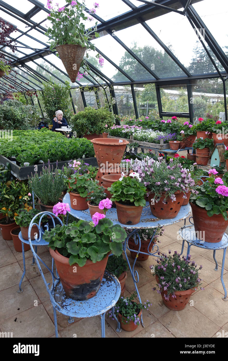 Petersham nursery tea room hi-res stock photography and images - Alamy