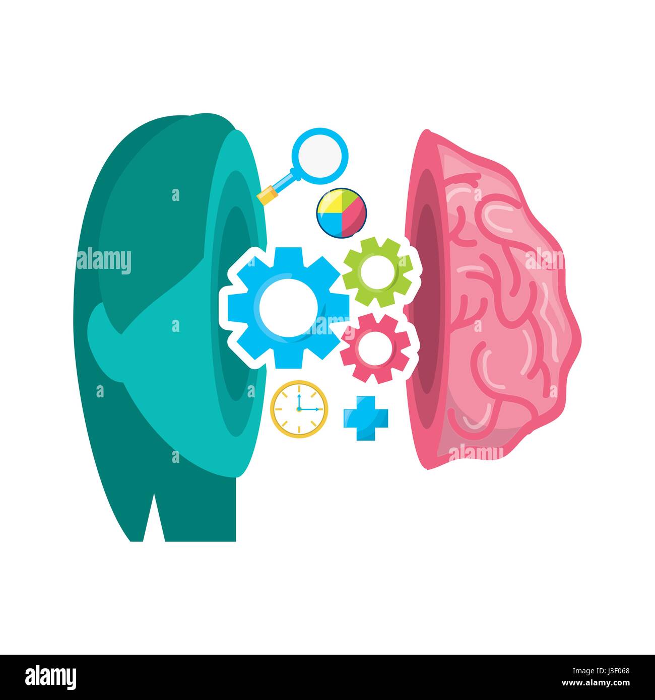 healthy brain with gears process work Stock Vector Image & Art - Alamy