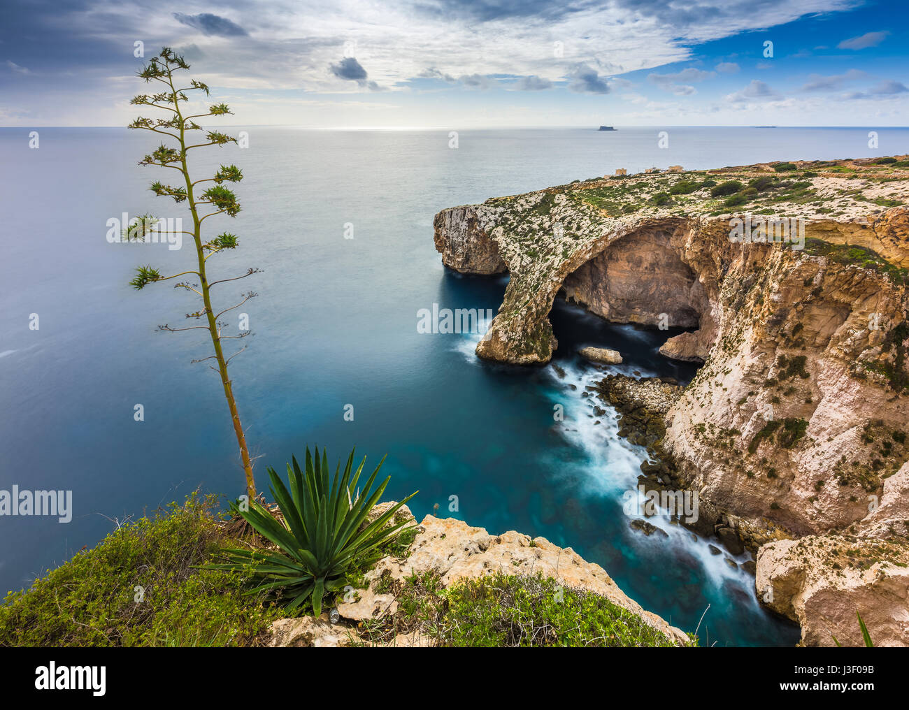 Malta - The famous arch of Blue Grotto cliffs with green leaves and ...