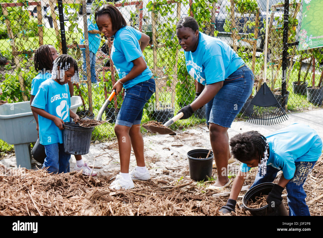 Kids Volunteering In The Community