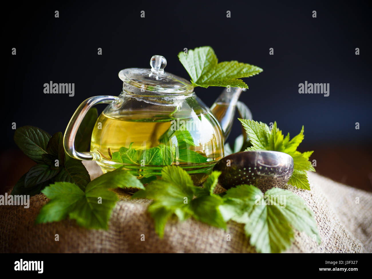 tea with currant leaves Stock Photo - Alamy