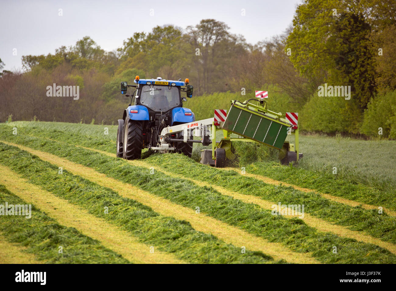 Cutting grass for silage hi-res stock photography and images - Alamy