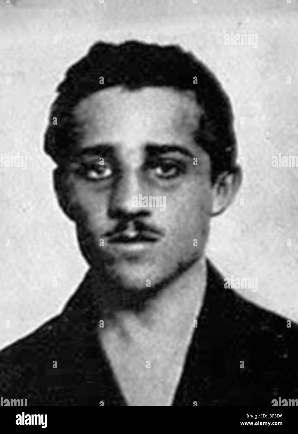 Gavrilo Princip was a Bosnian Serb revolutionary who assassinated ...