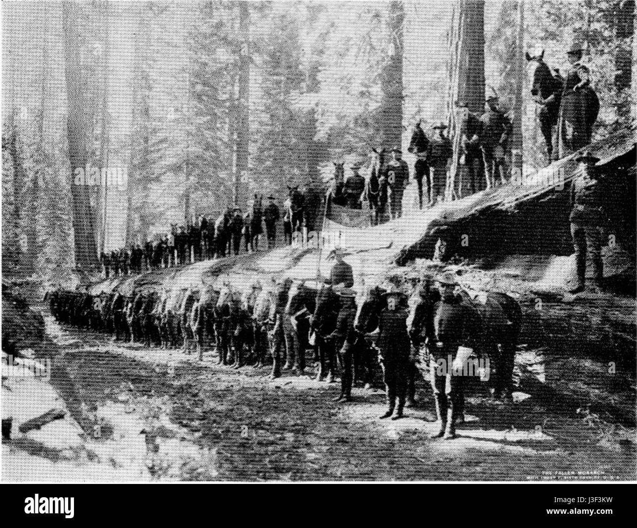 An illustration depicting a fallen monarch alongside F Troop of the US ...