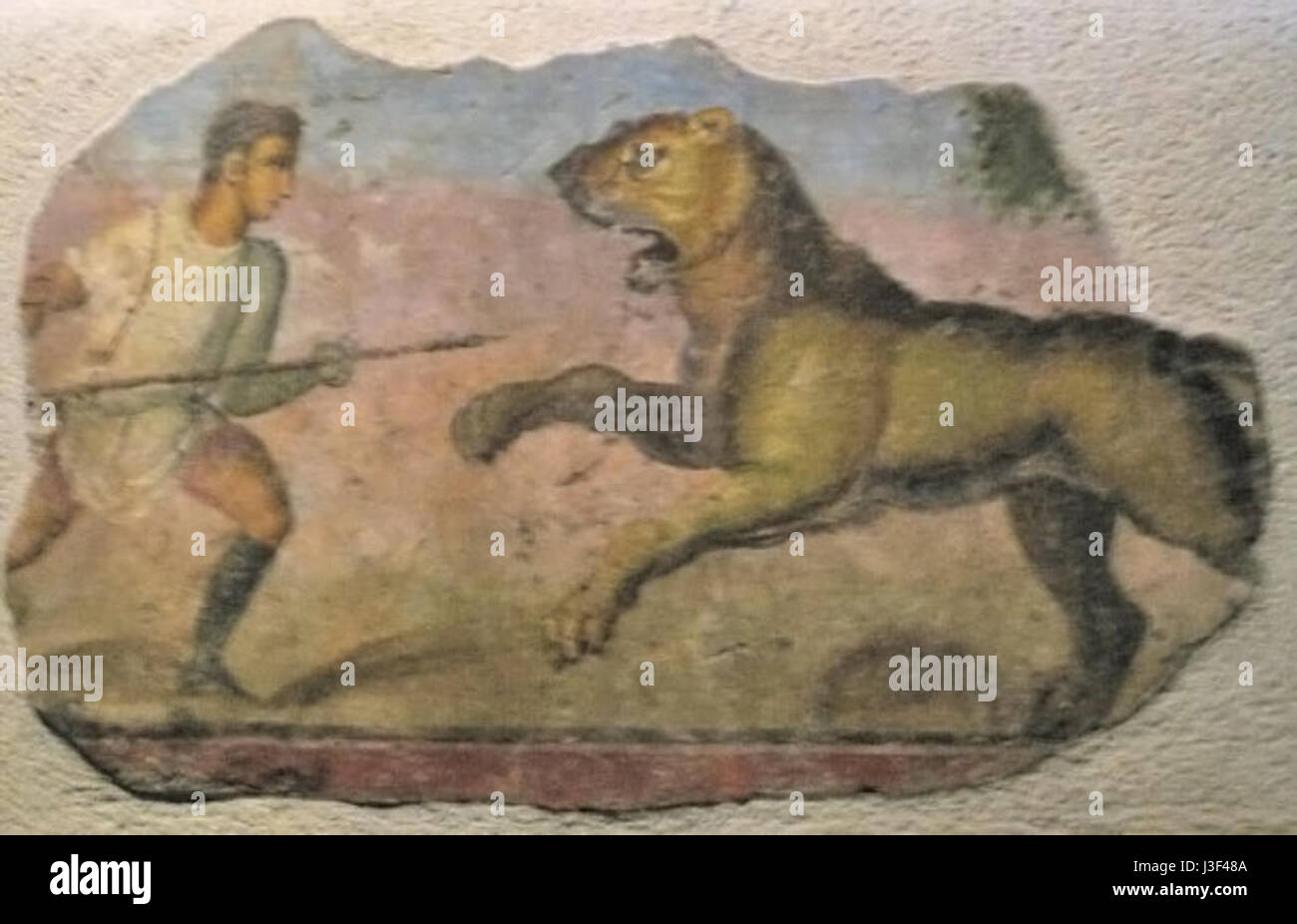 Fighting gladiator hi-res stock photography and images - Alamy