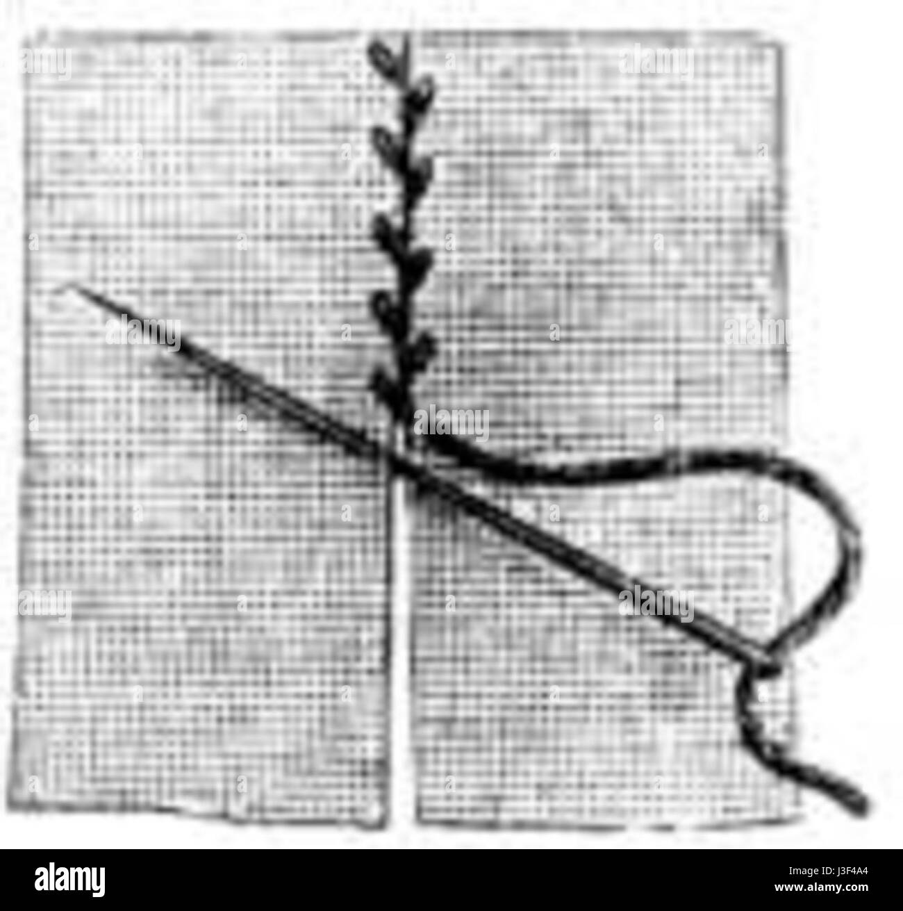 Fig. 14. Antique or old German seam Stock Photo - Alamy