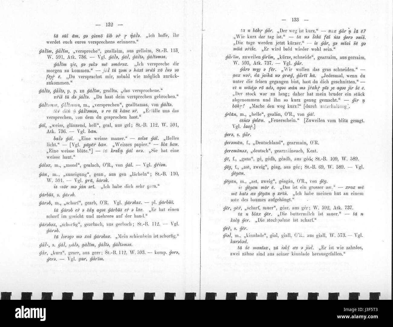 A depiction of *Finck araner*, possibly a botanical or zoological ...