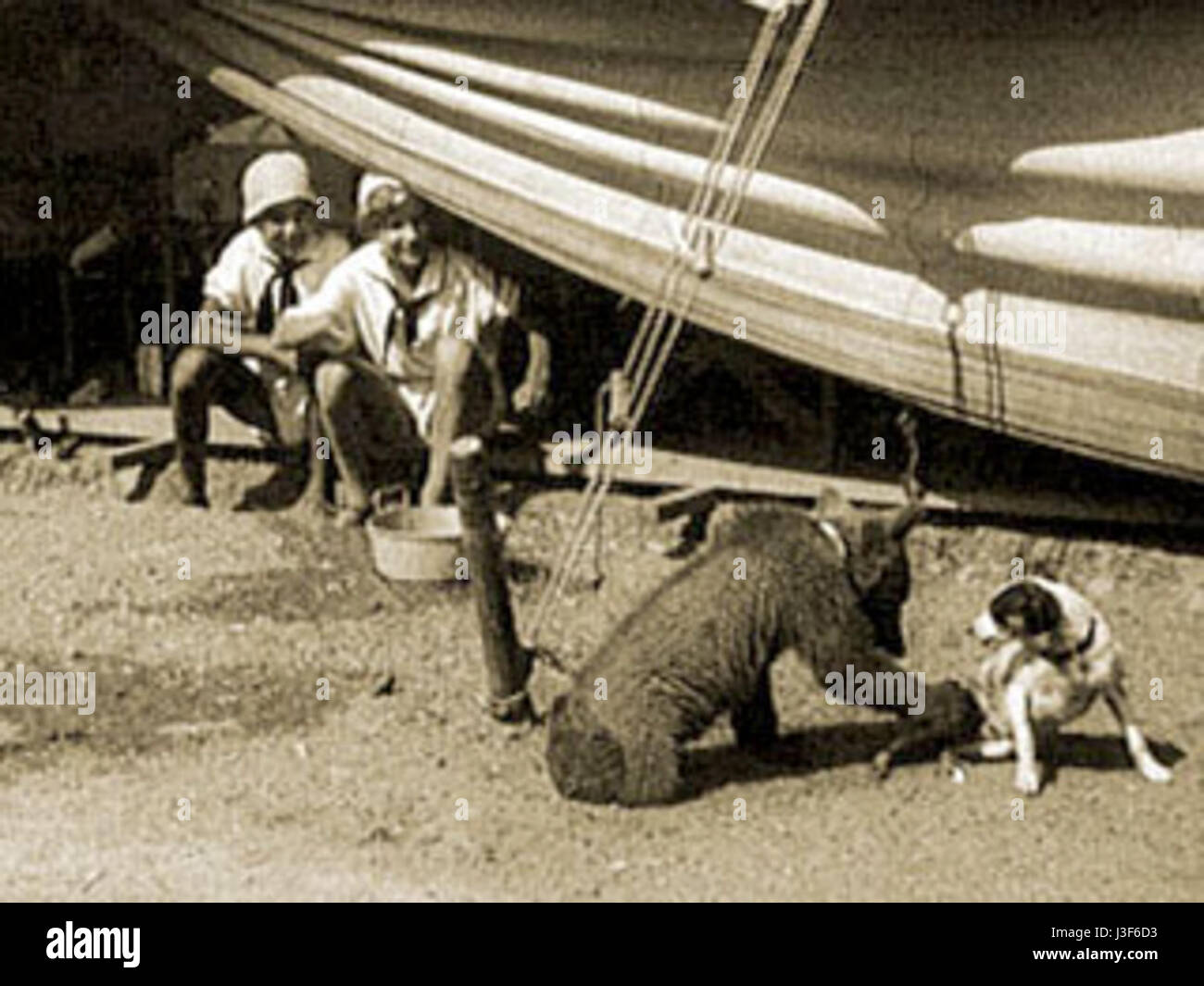 Troe hi-res stock photography and images - Alamy