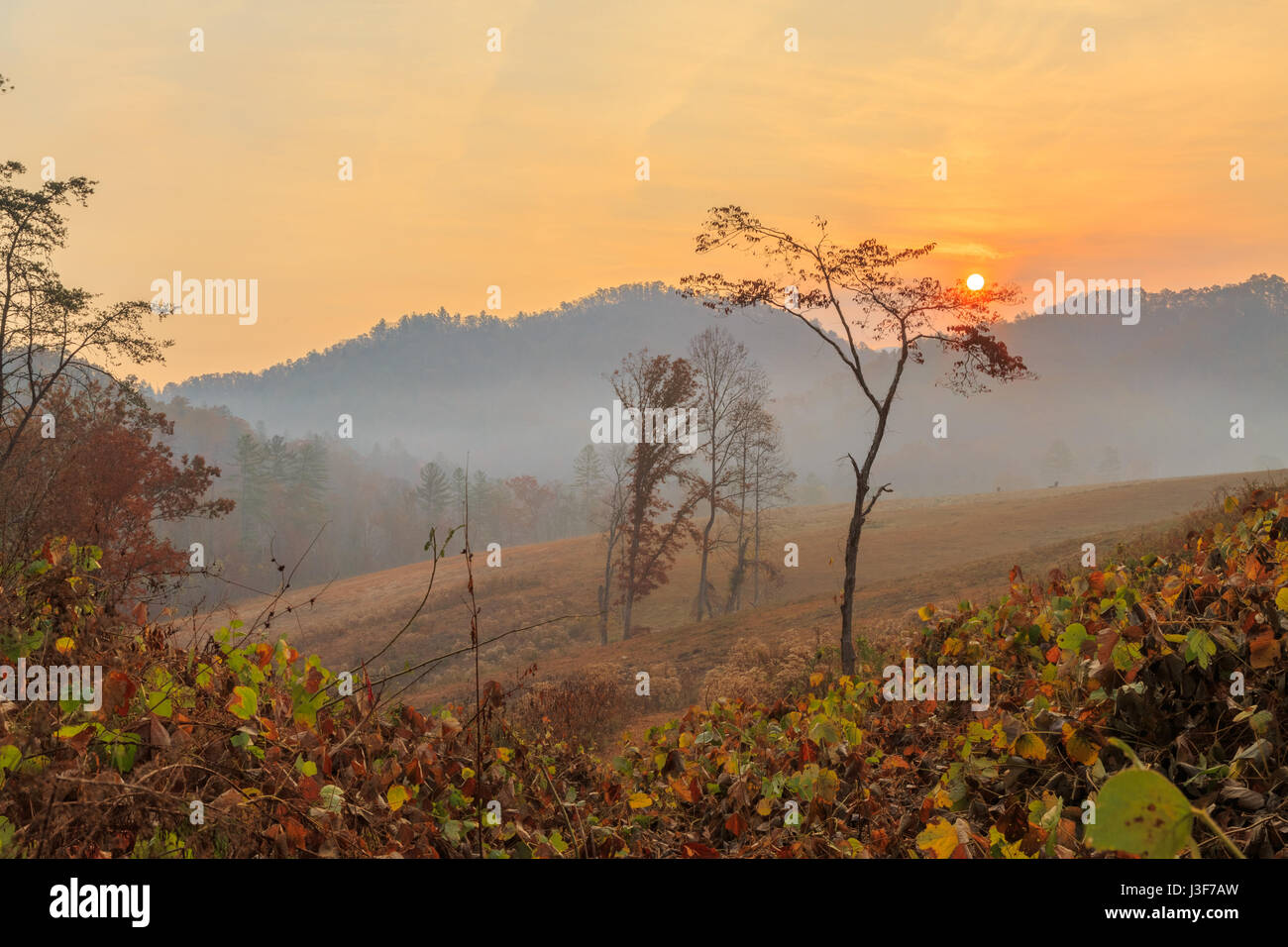 Robbinsville hi-res stock photography and images - Alamy