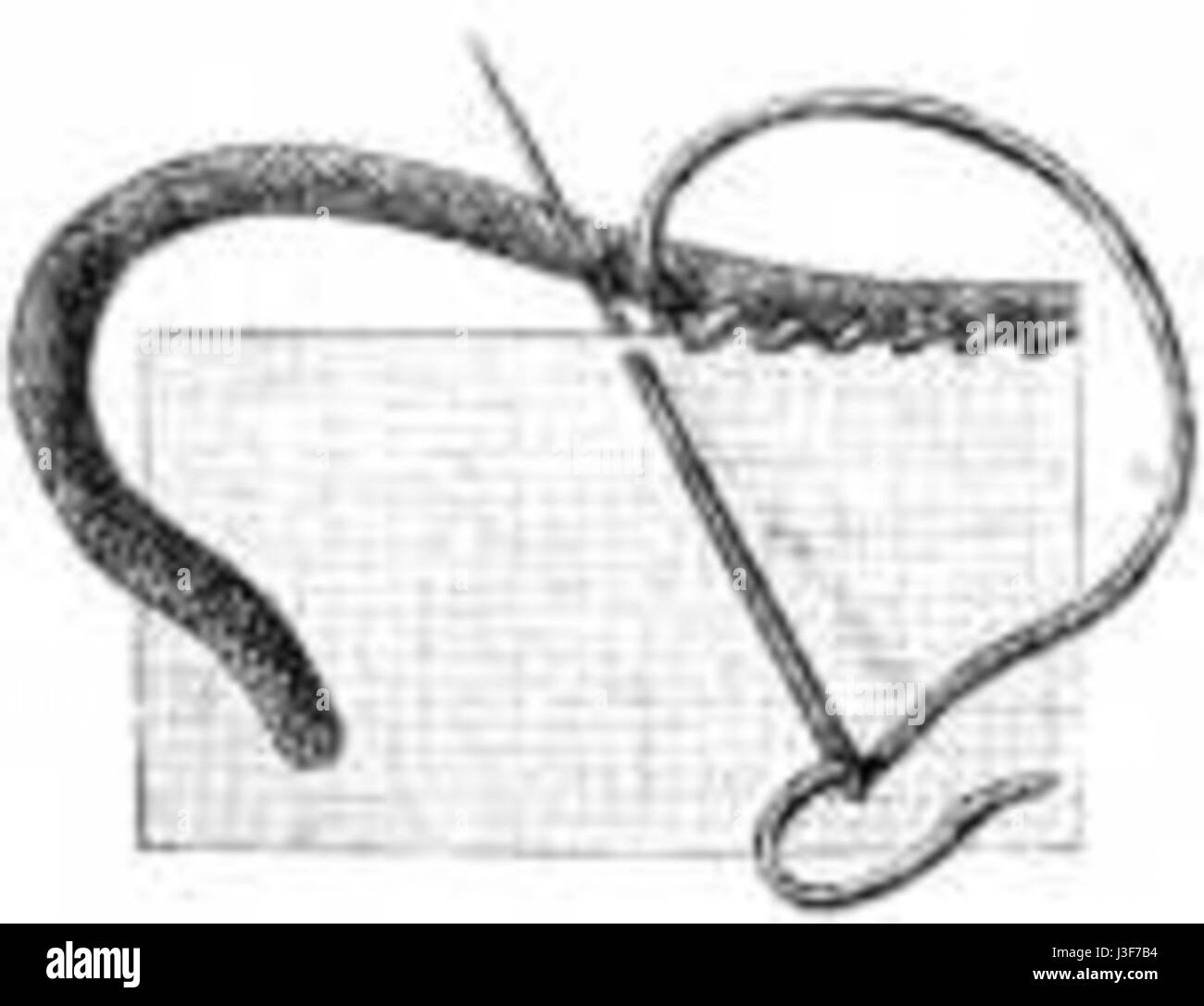 Cord stitch hi-res stock photography and images - Alamy