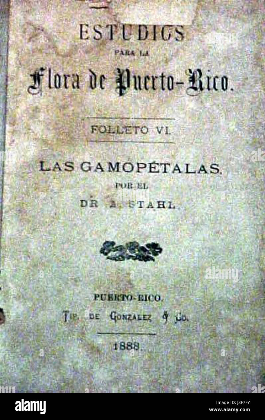 Puerto rican endemic species hi-res stock photography and images - Alamy