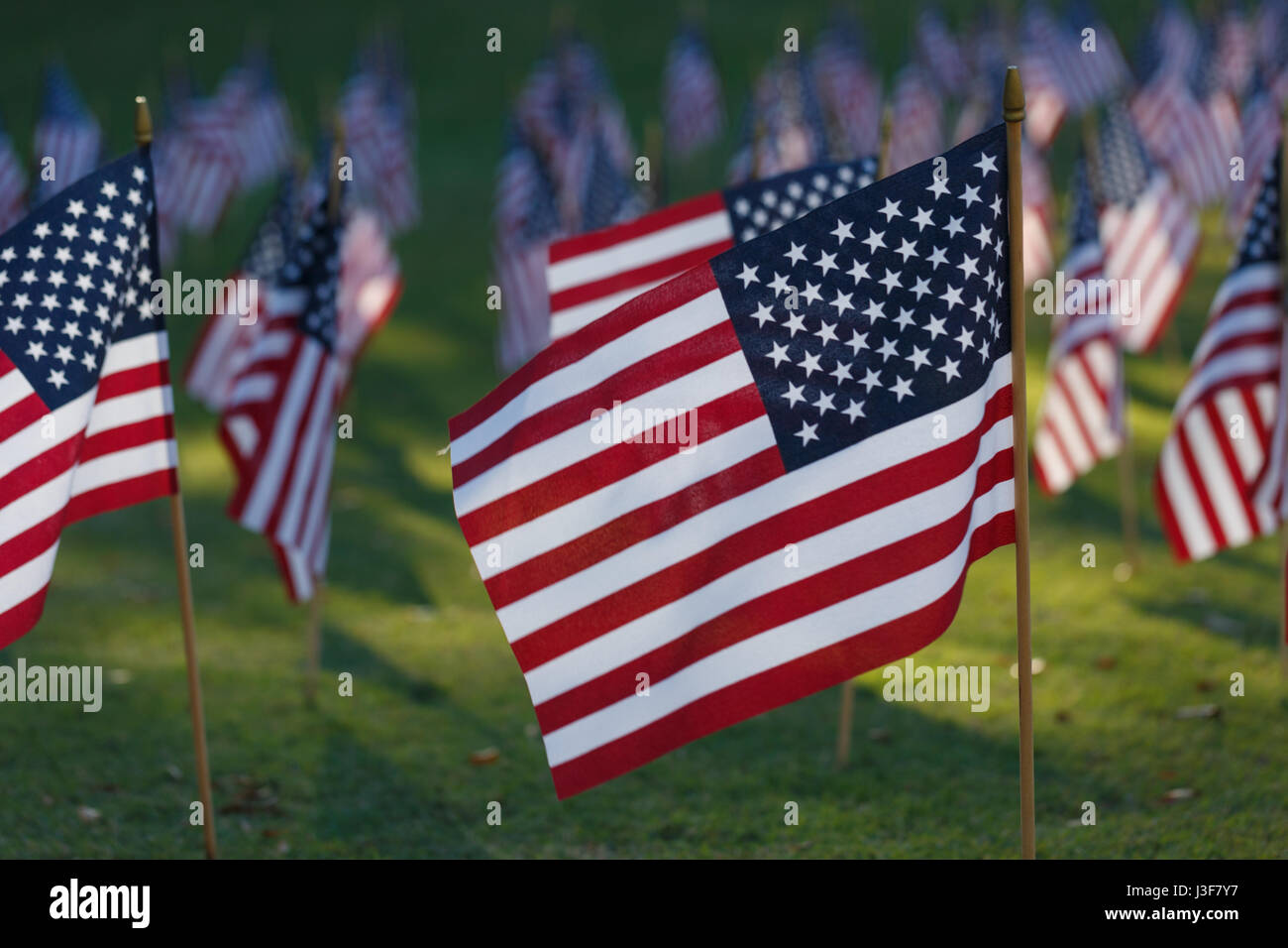 Multiple american flags hi-res stock photography and images - Alamy
