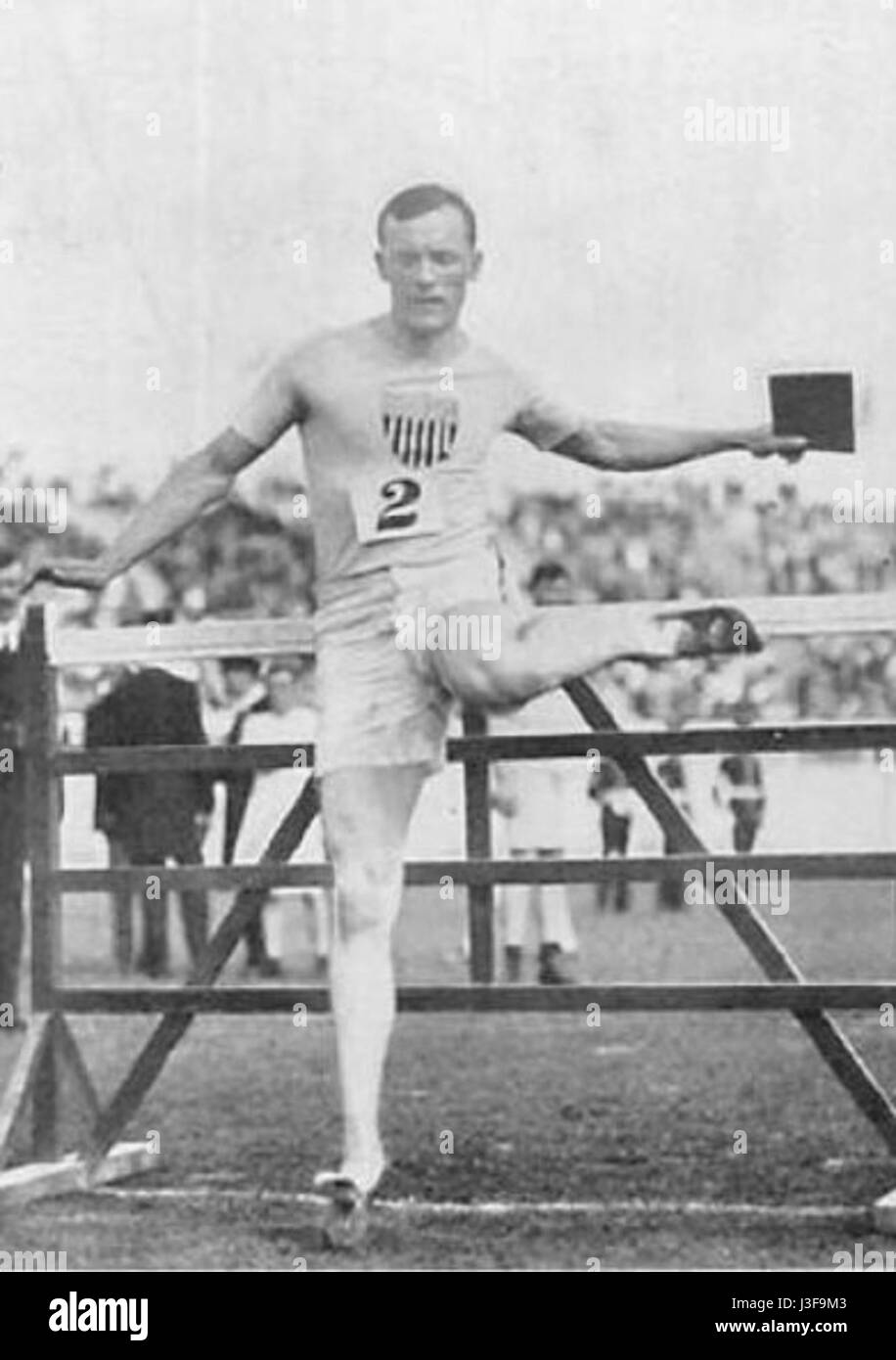 White forrest hi-res stock photography and images - Alamy