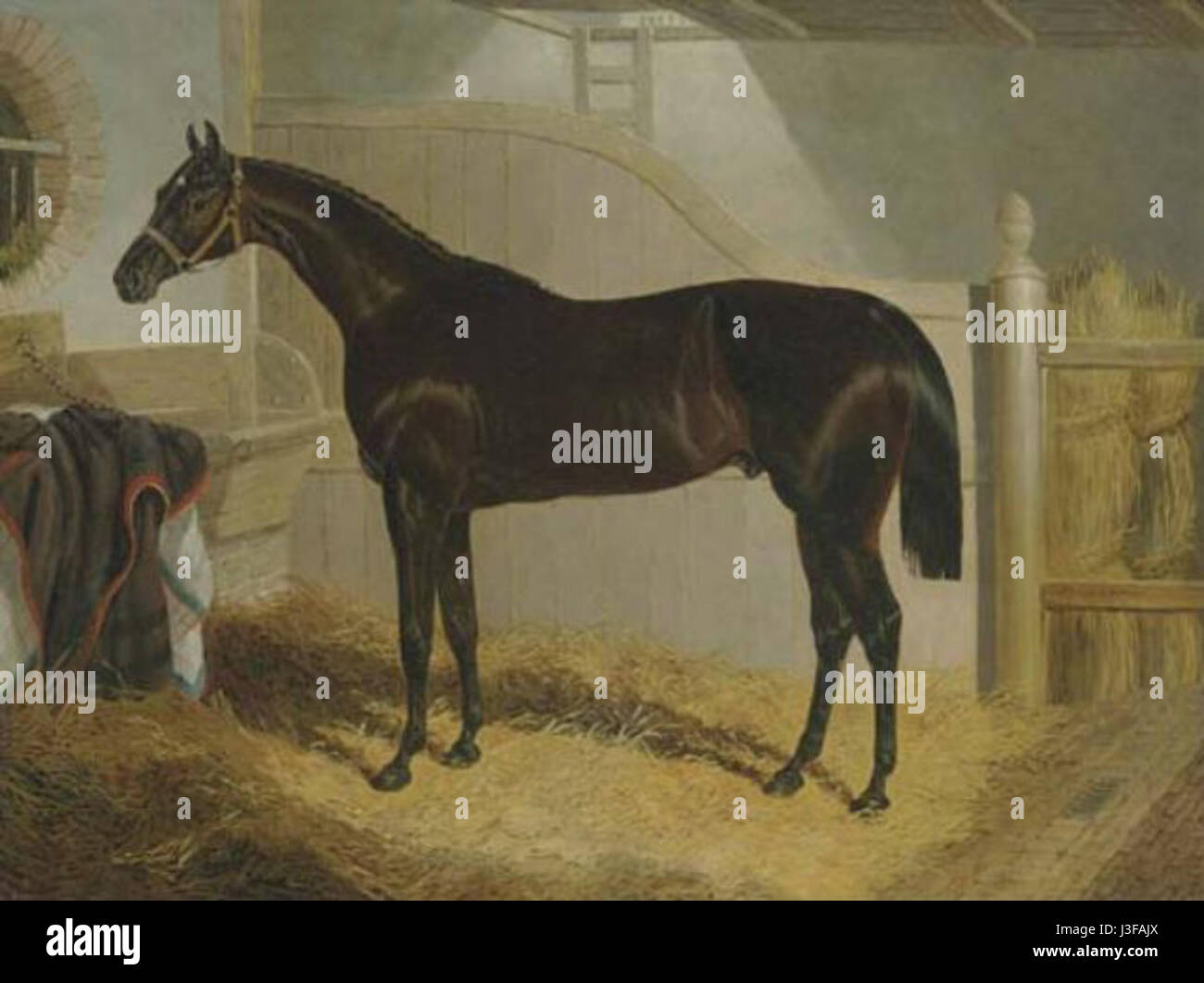 Faugh a ballagh hi-res stock photography and images - Alamy