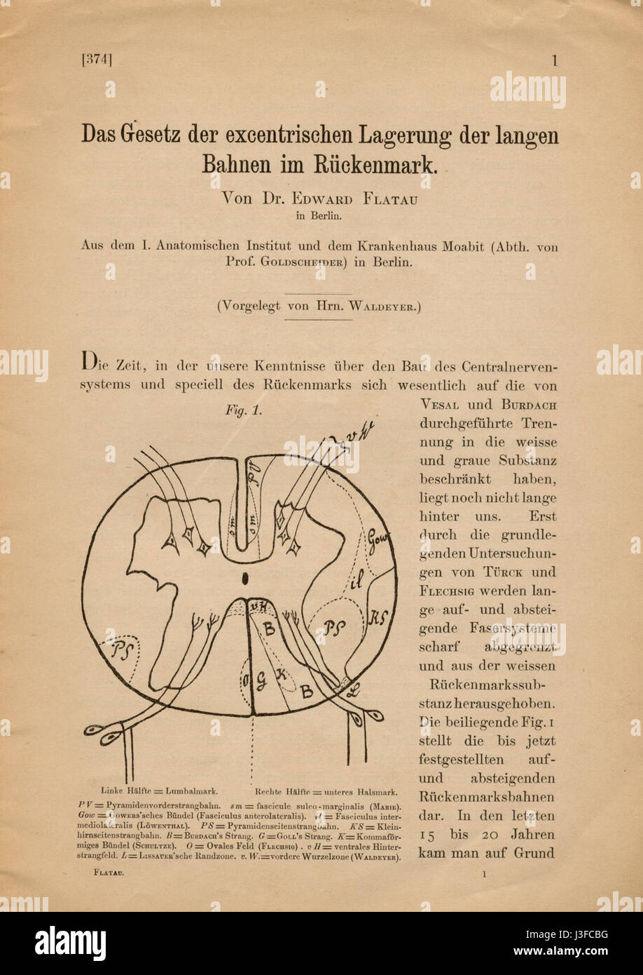 Flatau hi-res stock photography and images - Alamy
