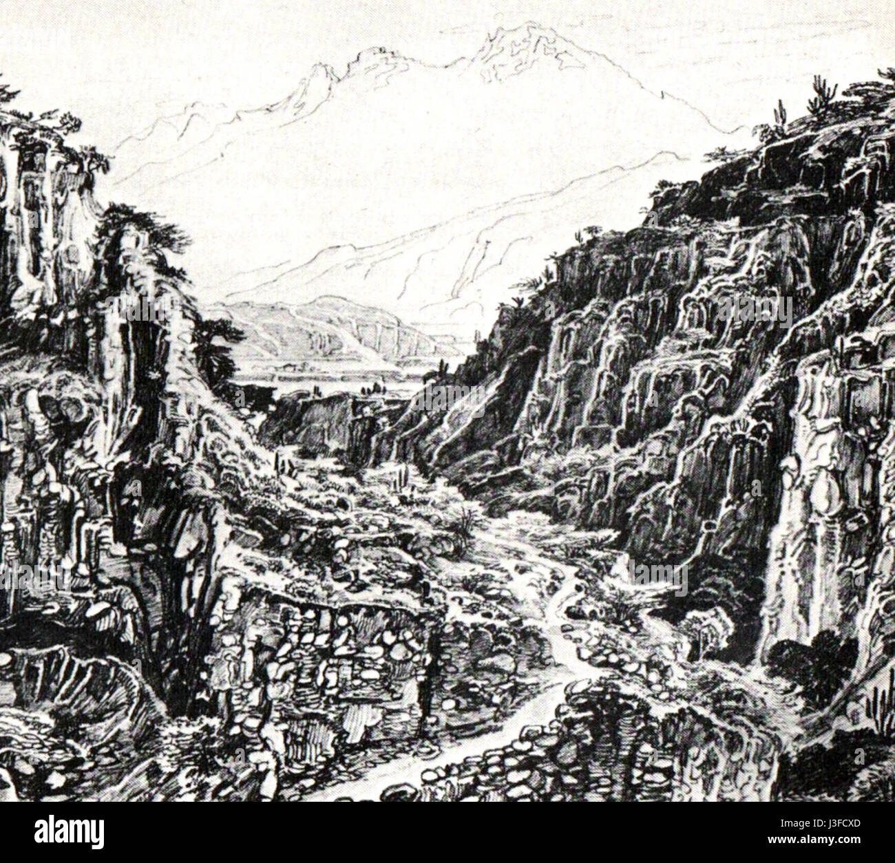 An artwork by Ferdinand Bellermann, a 19th-century artist known for his ...