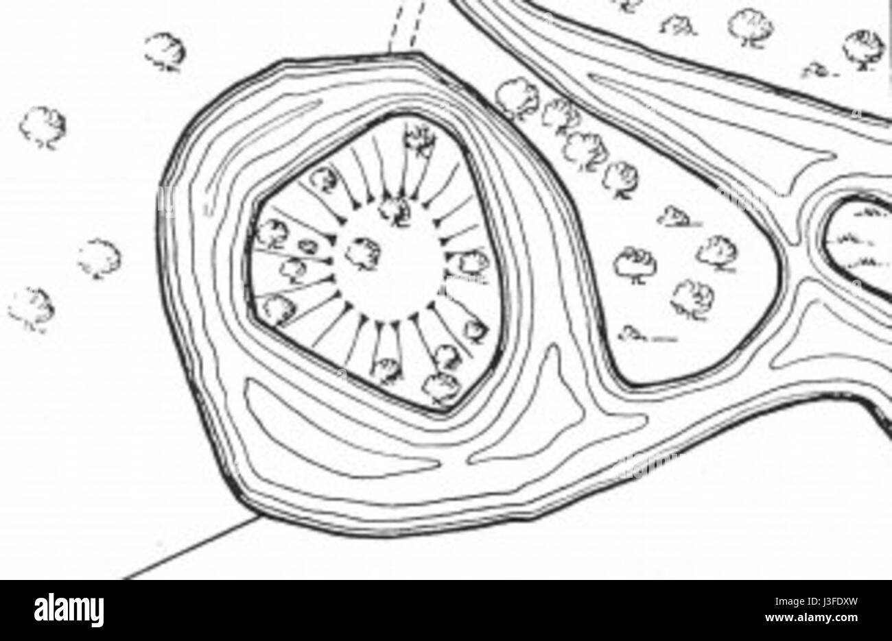 Fitzharris hi-res stock photography and images - Alamy