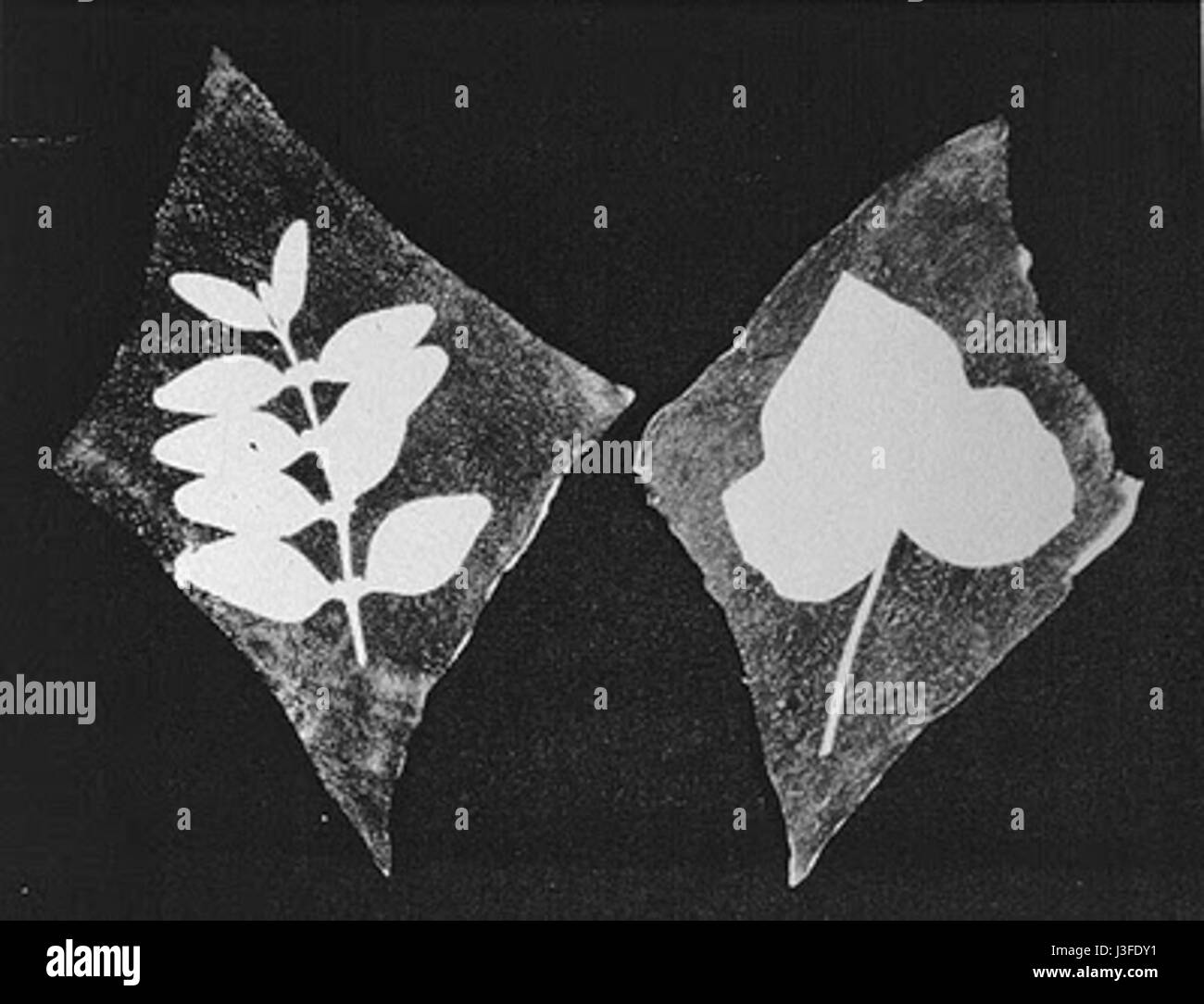 Print processes Black and White Stock Photos & Images - Alamy