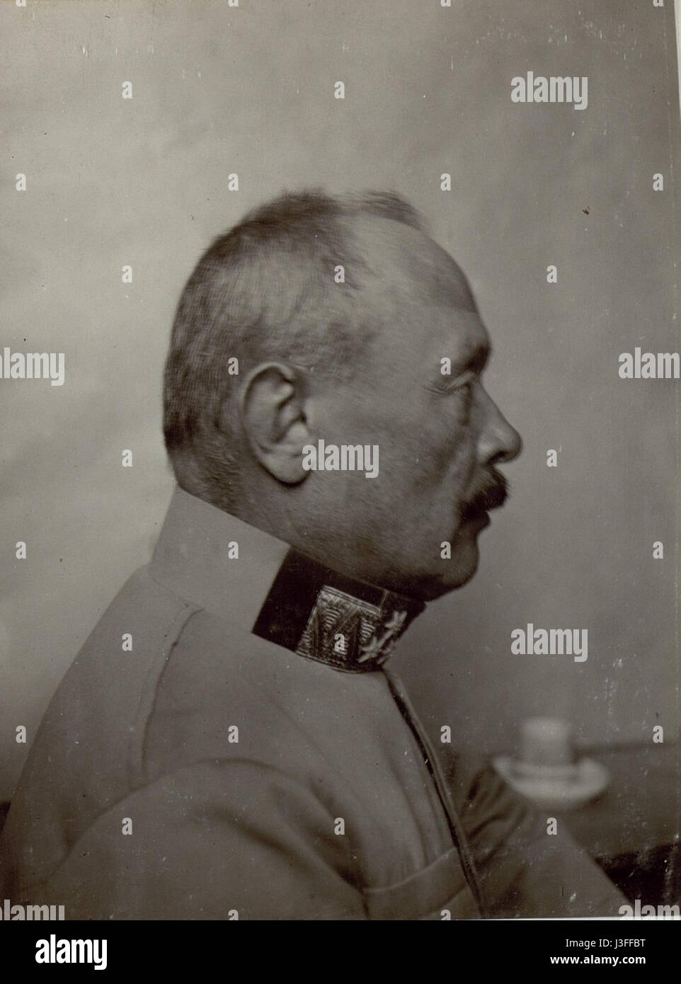 Feldmarschall Svetozar Boroevic von Bojna, General der Infanterie ...