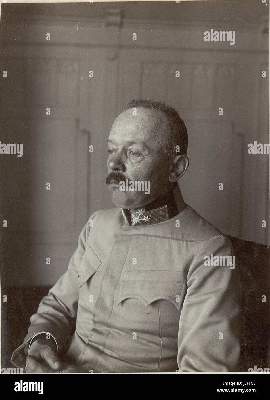 Feldmarschall Svetozar Boroevic von Bojna, General der Infanterie ...