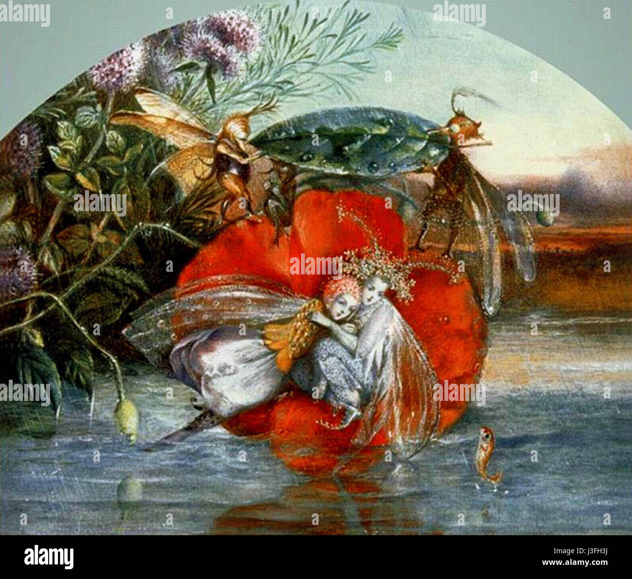 Fitzgerald storm hi-res stock photography and images - Alamy