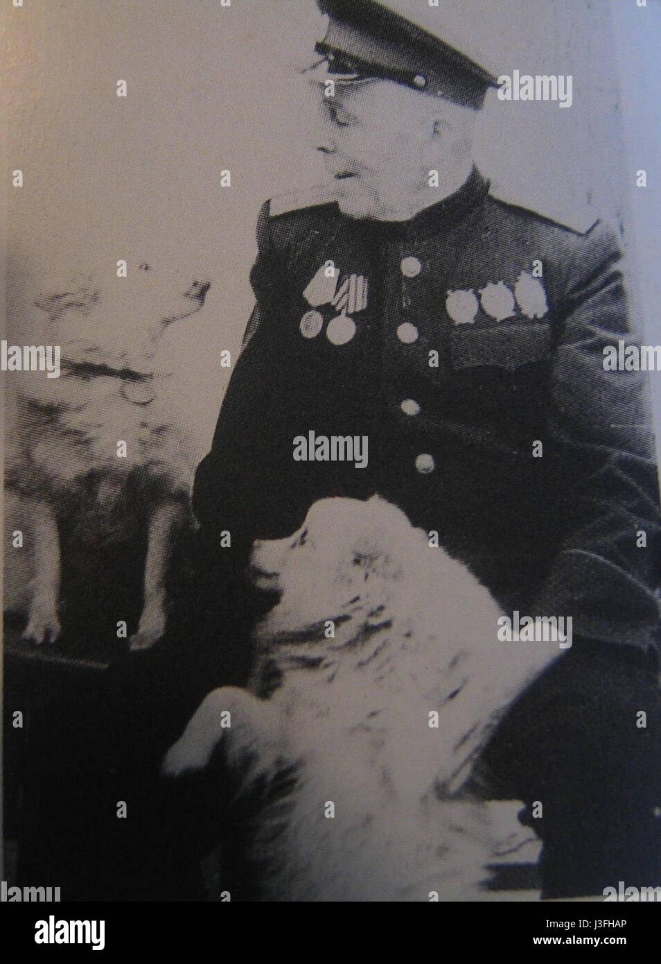 Valter Valli was a Finnish general known for his role in the Finnish ...