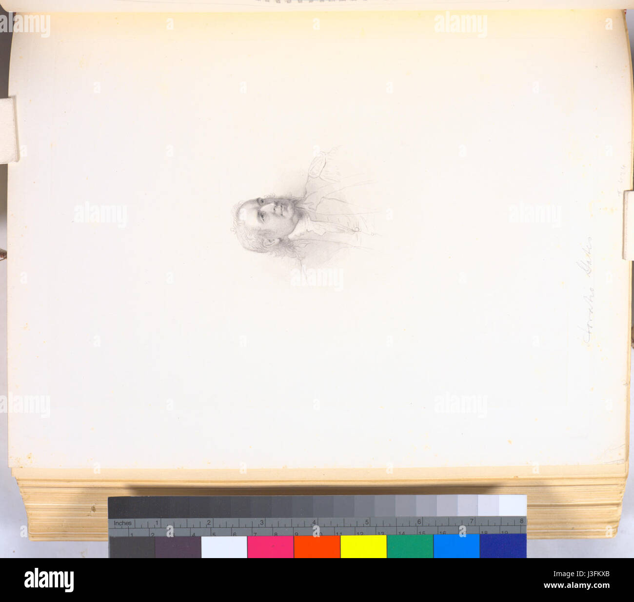 This portrait of General Horatio Gates depicts the American ...