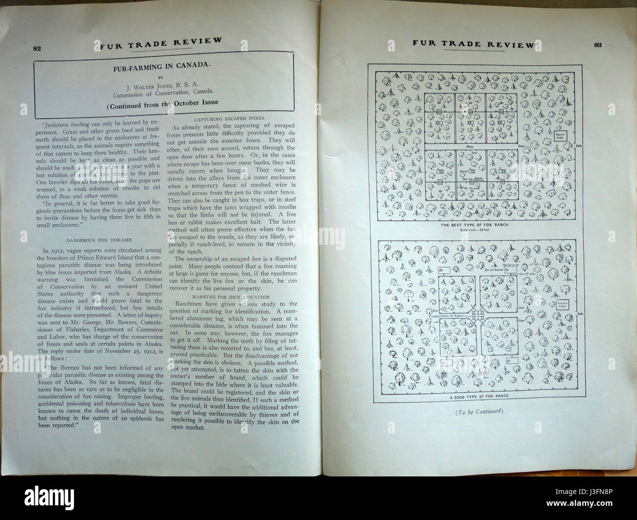 The Fur Trade Review from November 1914 provides an overview of the fur ...