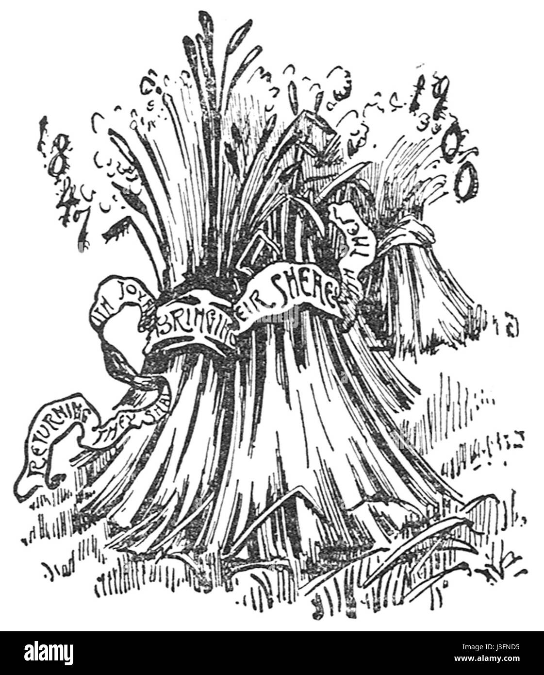 Edited collection Cut Out Stock Images & Pictures - Alamy