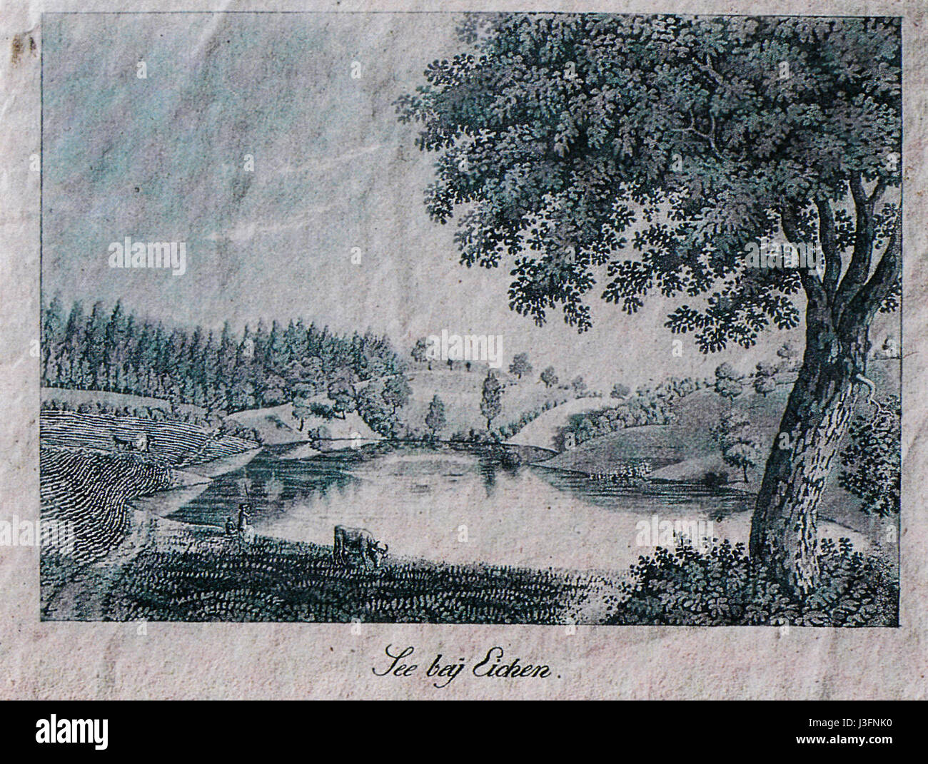 Friesenegger Eichener See Stock Photo - Alamy