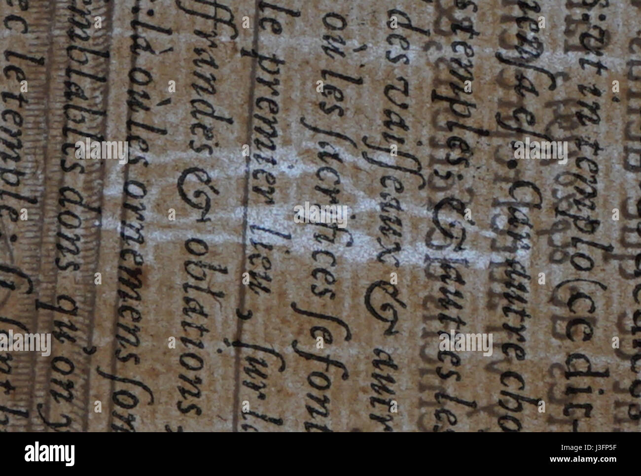 Filigrane refers to a watermark style used in paper production ...