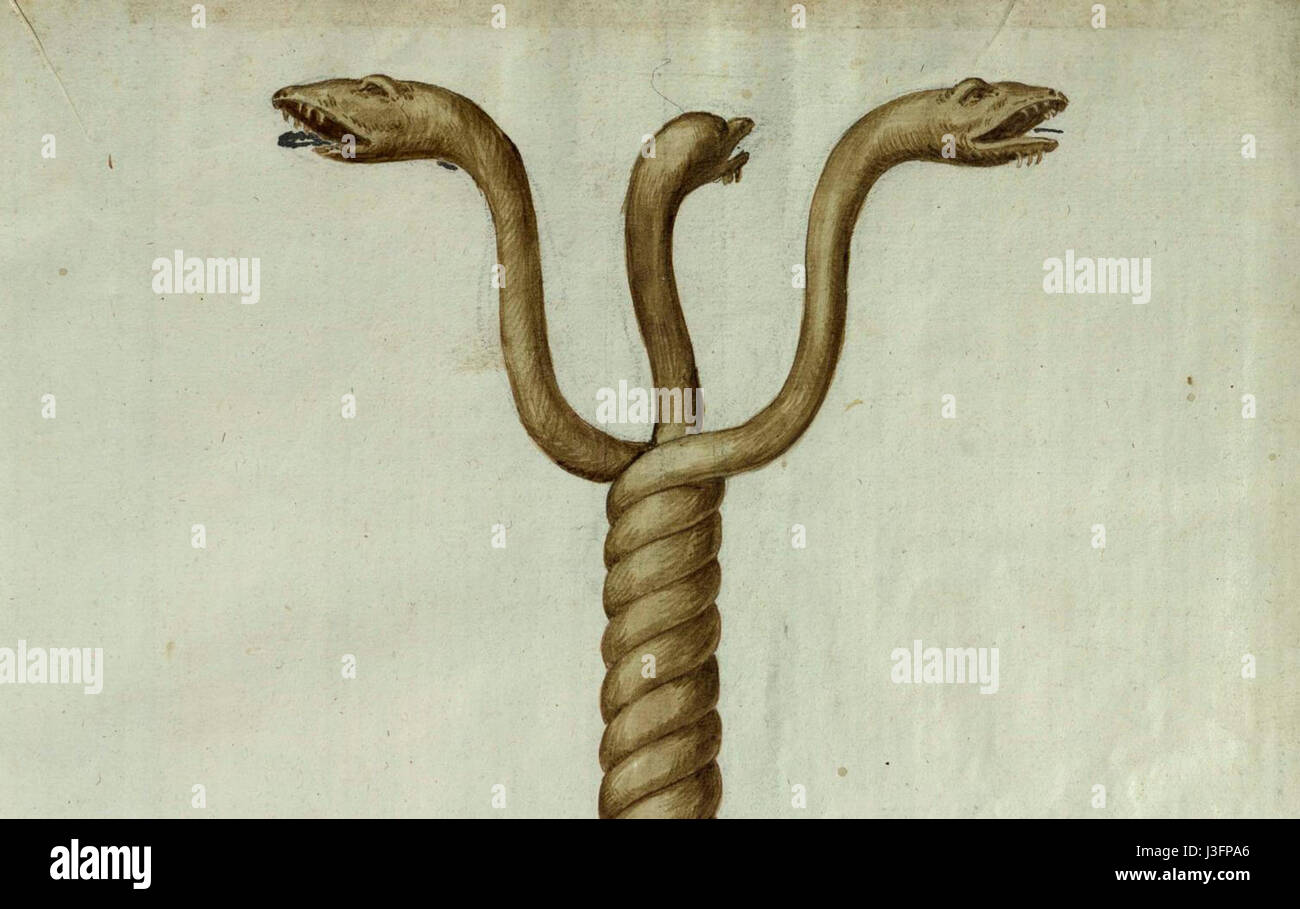 Freshfield Album, Serpent Column (fol 6) detail 1 Stock Photo - Alamy