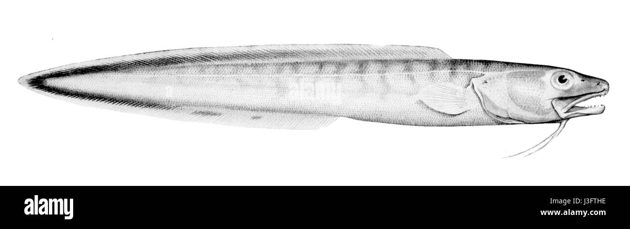 Body in blue Black and White Stock Photos & Images - Alamy