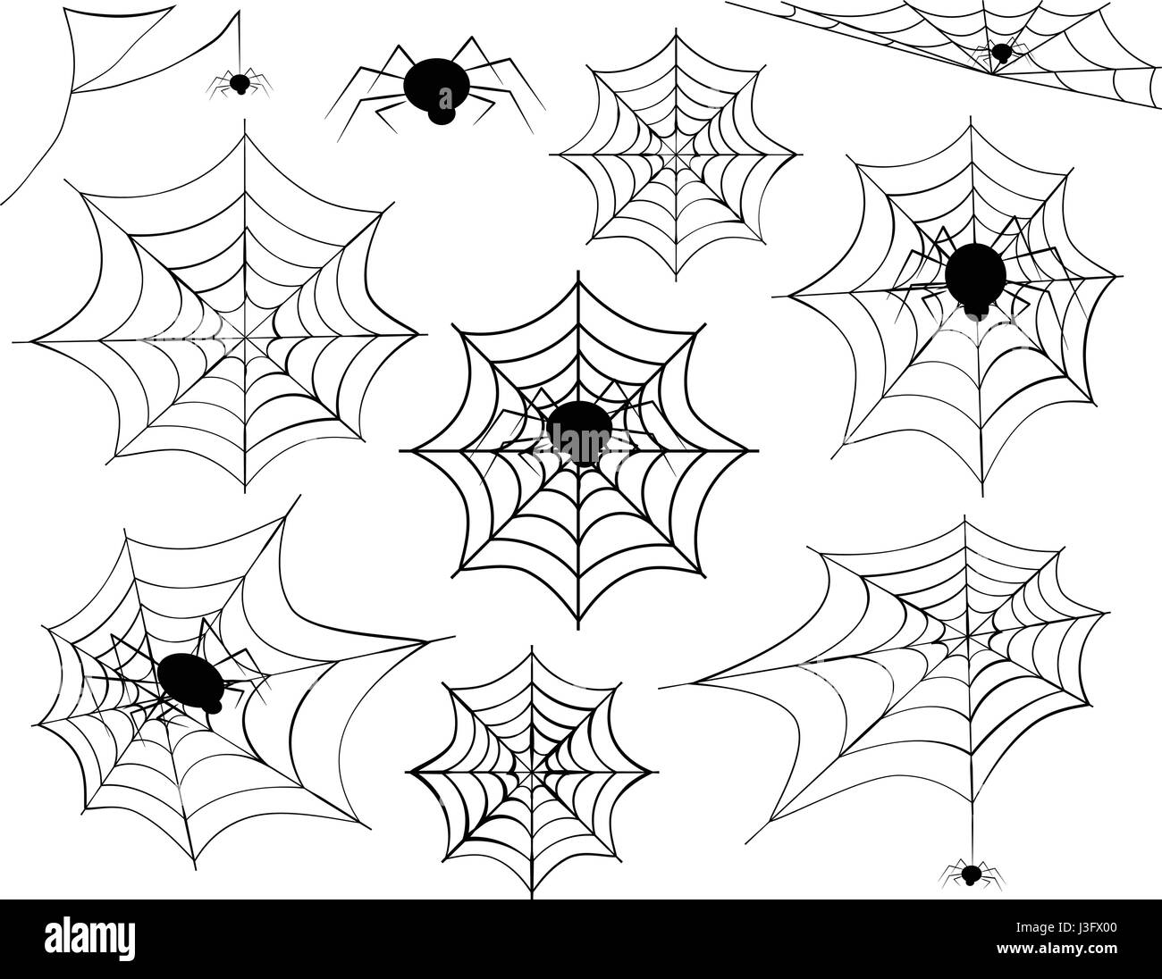 Collection of different spider webs and different spiders including ...