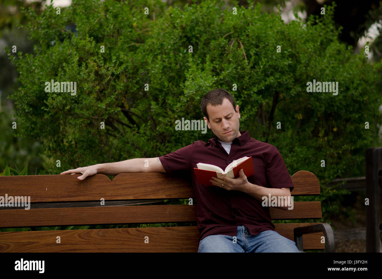Man reading a book alone on a bench outside Stock Photo - Alamy