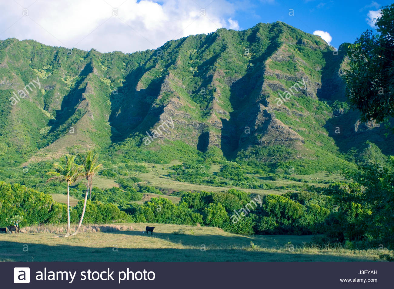 Kaaawa Valley, Oahu, Hawaii, USA Stock Photo, Royalty Free Image ...