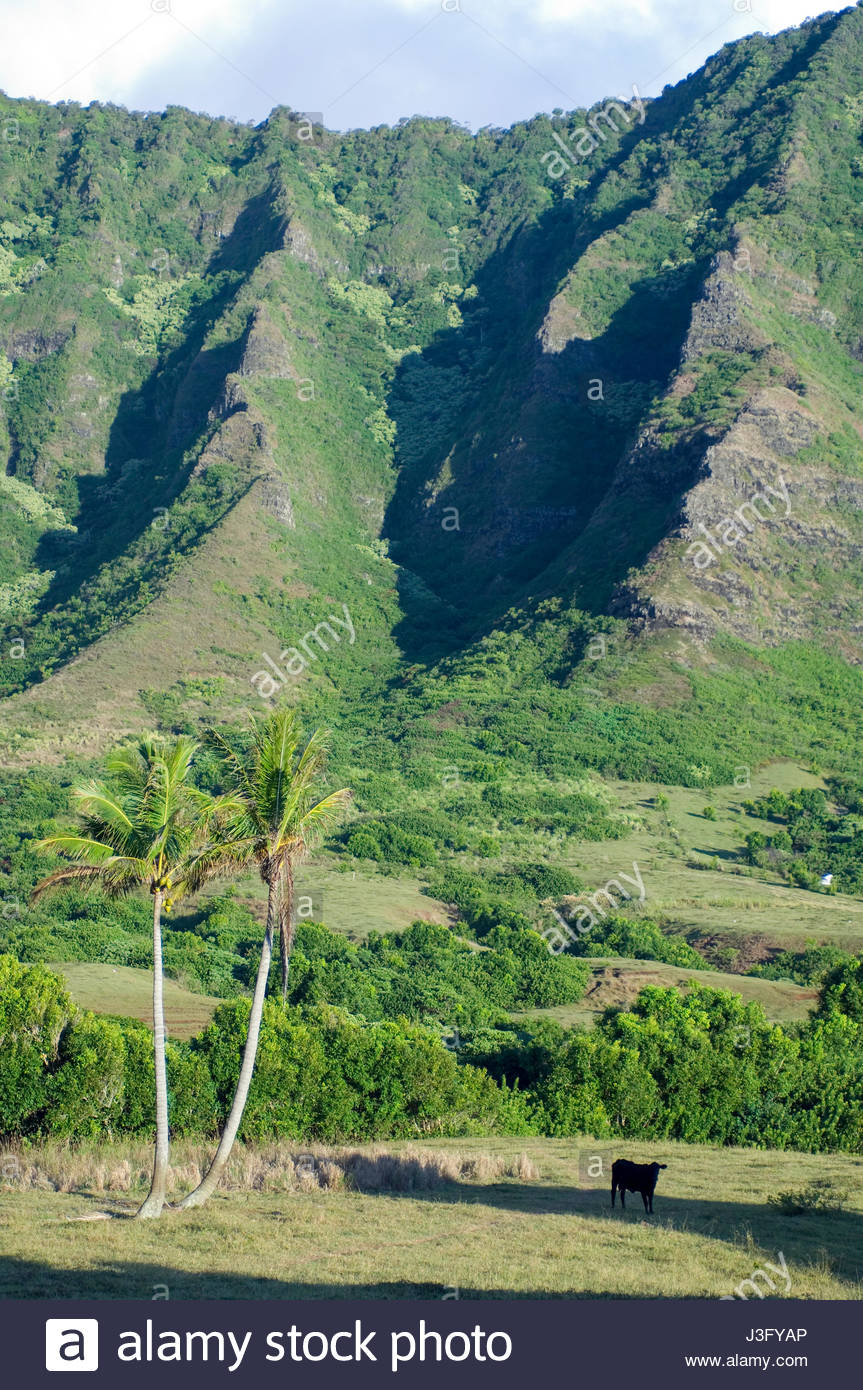 Of Kaaawa Valley High Resolution Stock Photography and Images - Alamy
