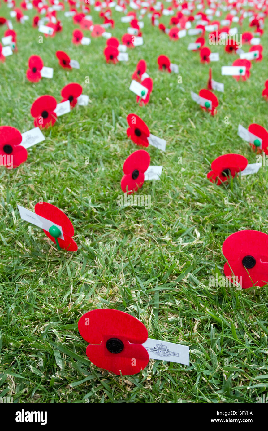 Anzac poppies hi-res stock photography and images - Alamy