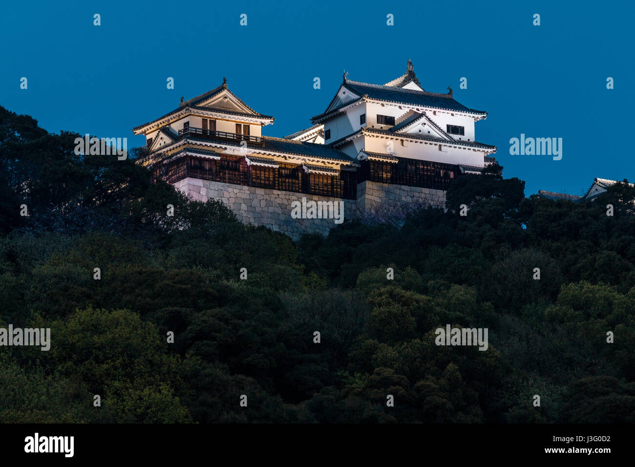 Japan, Ehime, Matsuyama Castle. Night time view of the tenshu, keep ...