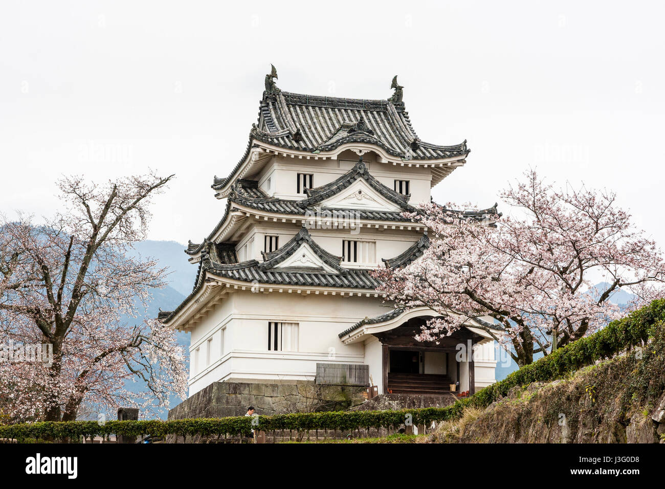Japan, Ehime, Uwajima castle, AKA Tsurushima-jo. Main keep, tenshu ...