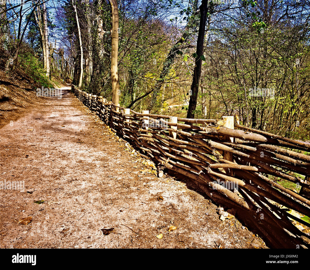 Foot Way in a public park Stock Photo - Alamy