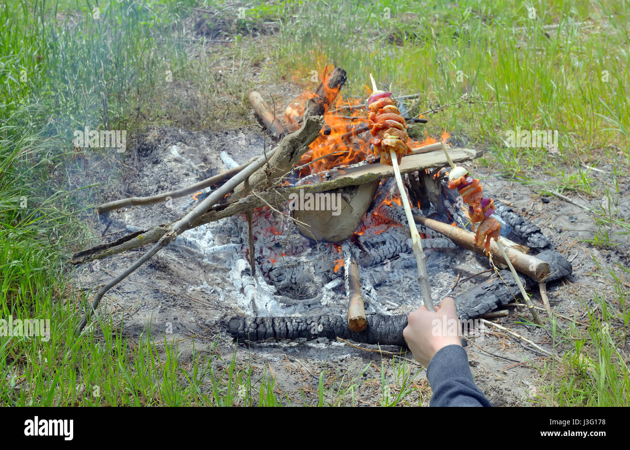 Teen boy enjoying barbecue outdoors Stock Photo - Alamy