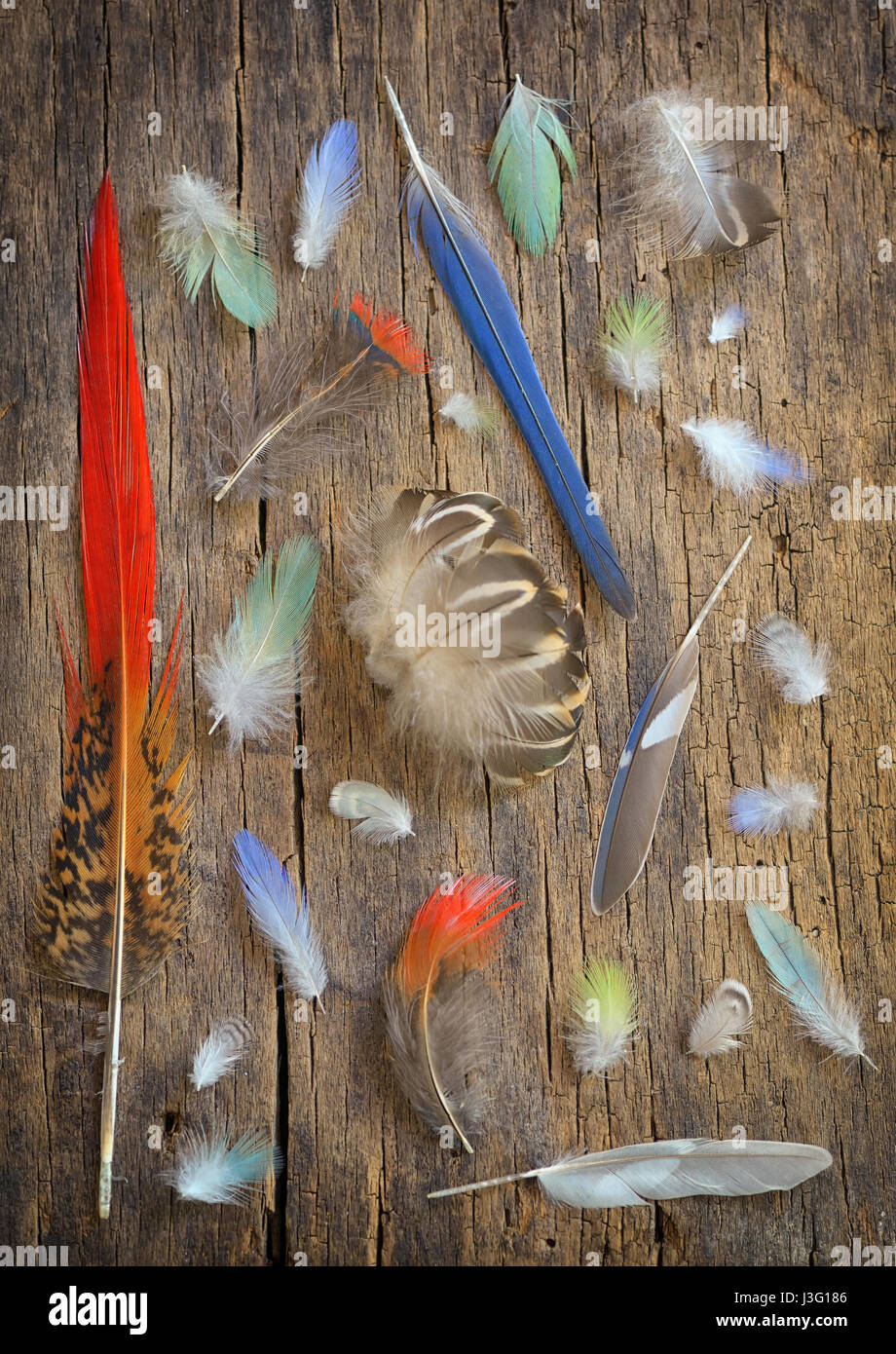 Collection of different color feathers on old wooden table Stock Photo ...