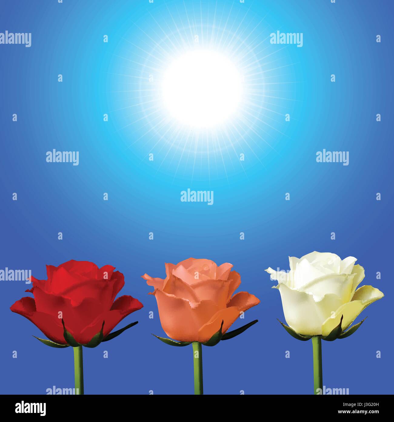 Pink rose flowers over Stock Vector Images - Alamy