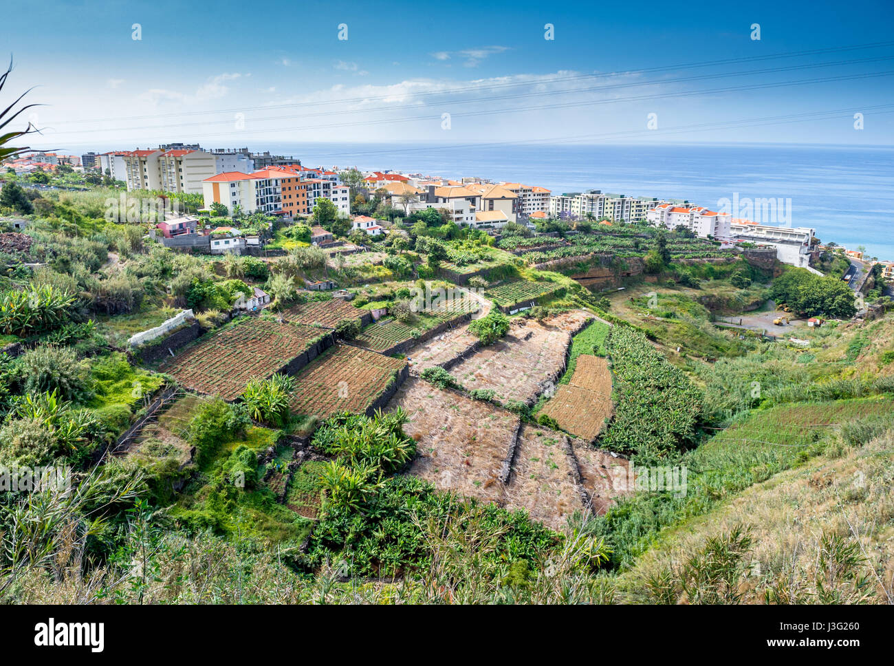 Terraced fields on the island of Mareira Stock Photo - Alamy