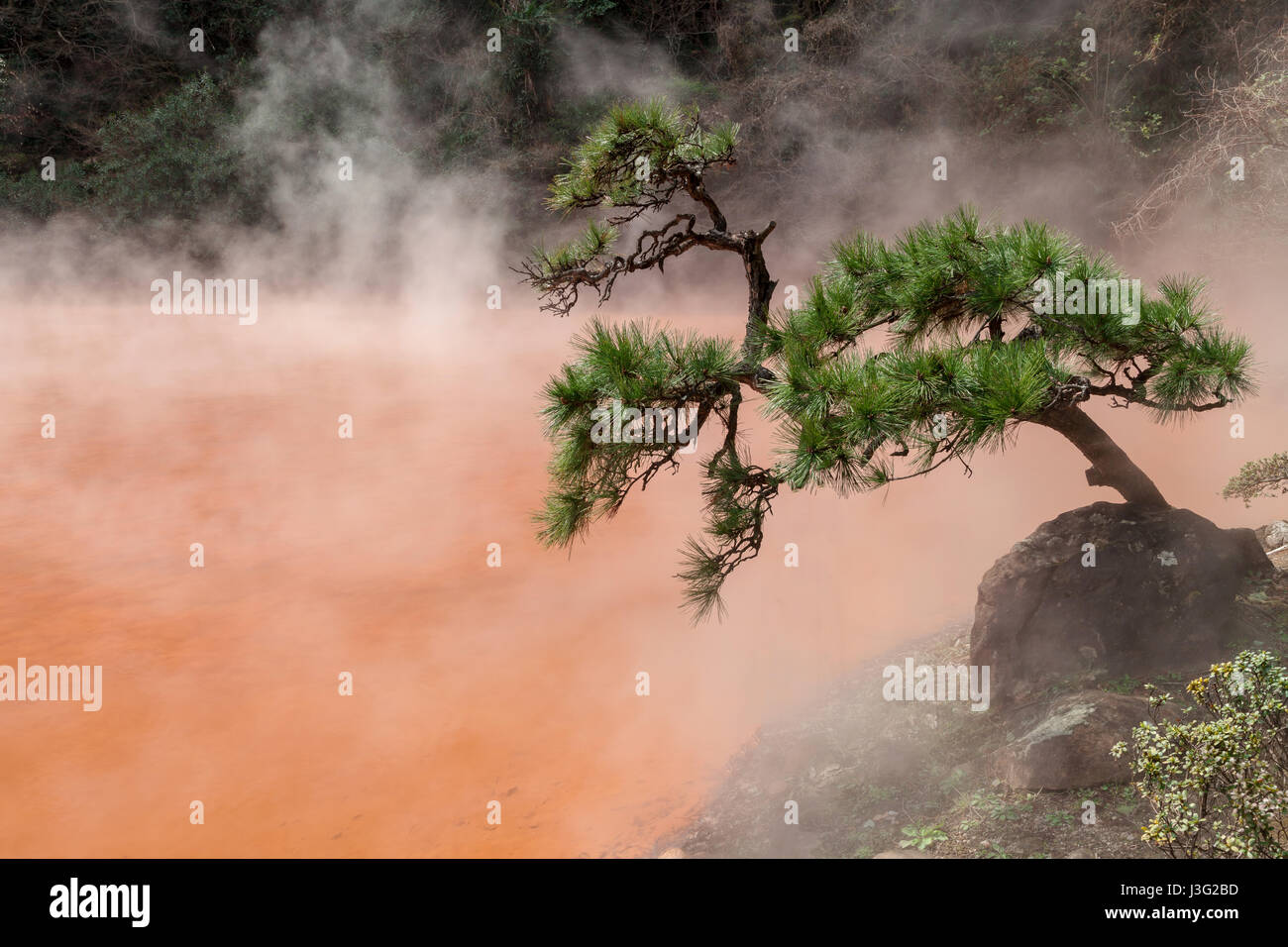 Chinoike-Jigoku (Blood Pool Hell) is one of eight Beppu hot spring tour ...