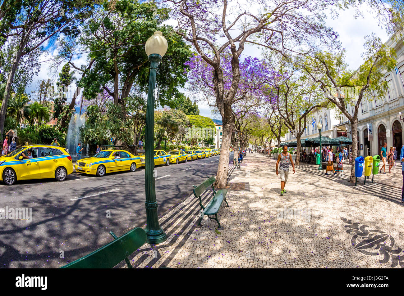 The Avenida Arriaga road and pedestrian zone in the Madeiran city of ...