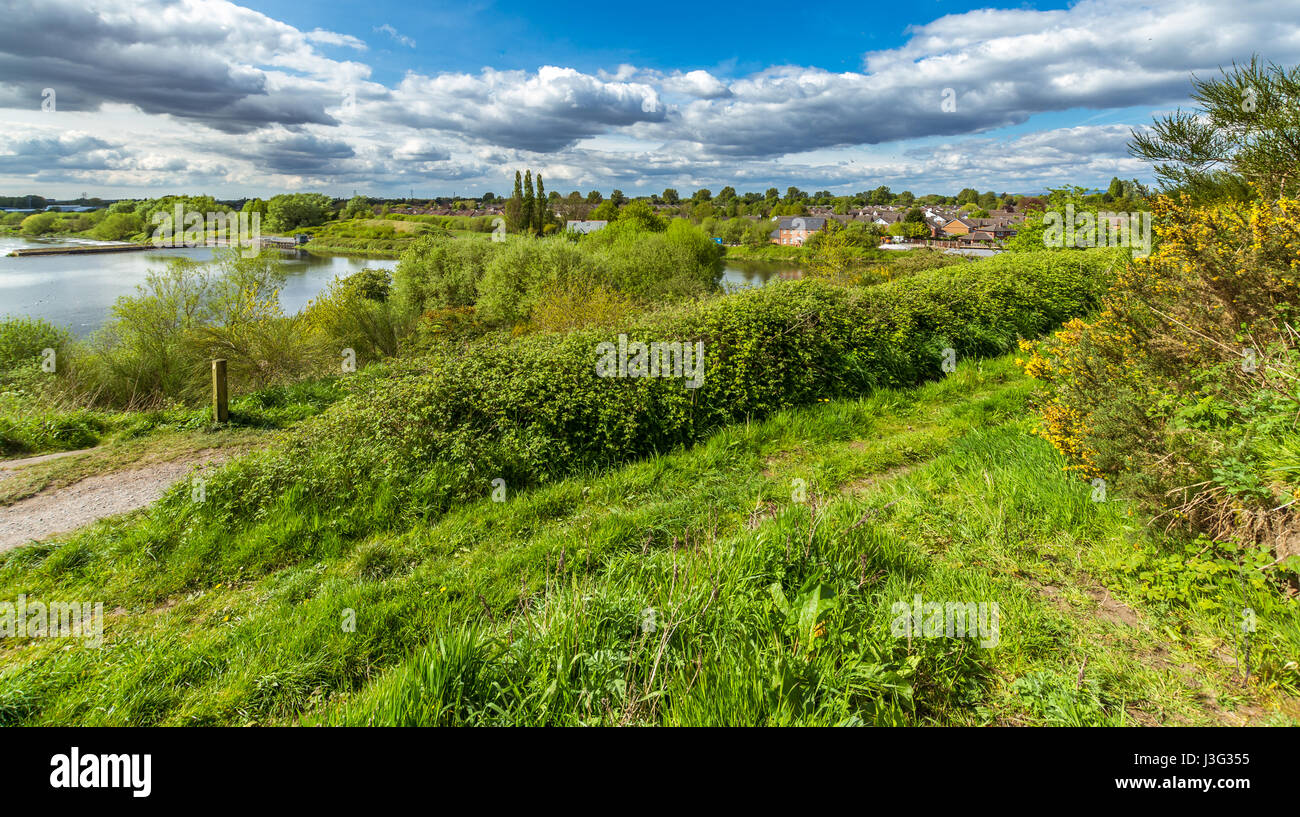 A view of Woolston Eyes in Warrington Stock Photo - Alamy