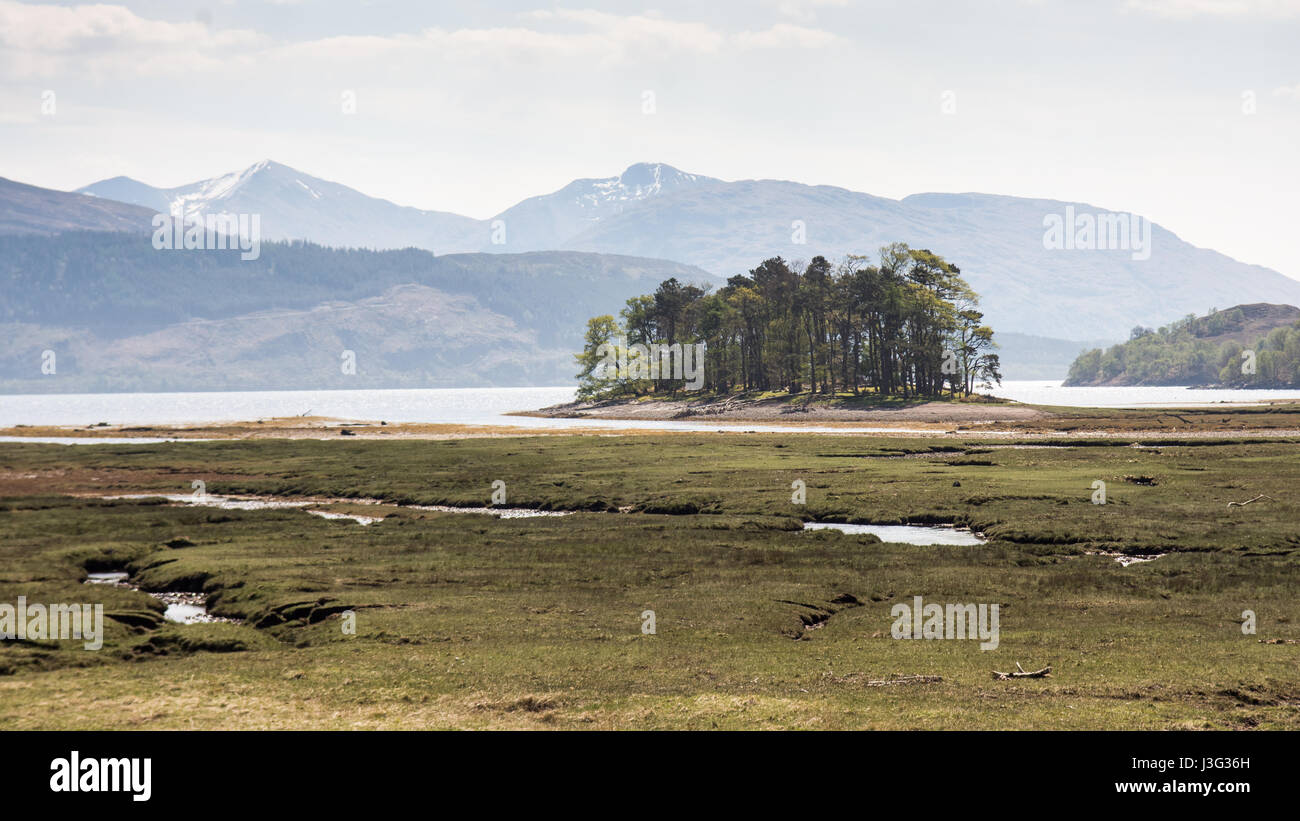 Mountains rise from the shores of Loch Linnhe, behind the salt marsh of ...
